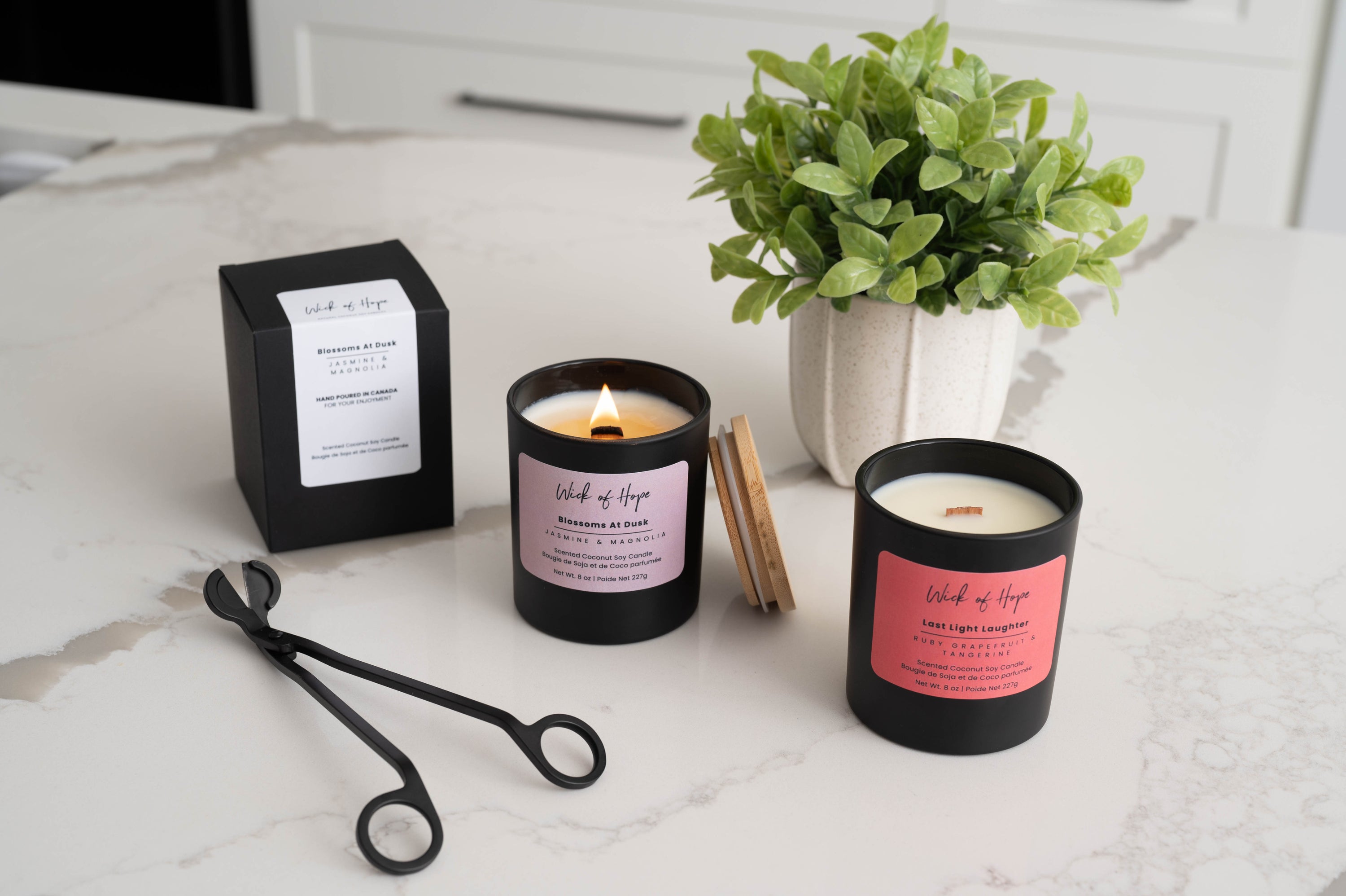 Clean Burning Candles | Safe, Natural Scents – Wick of Hope